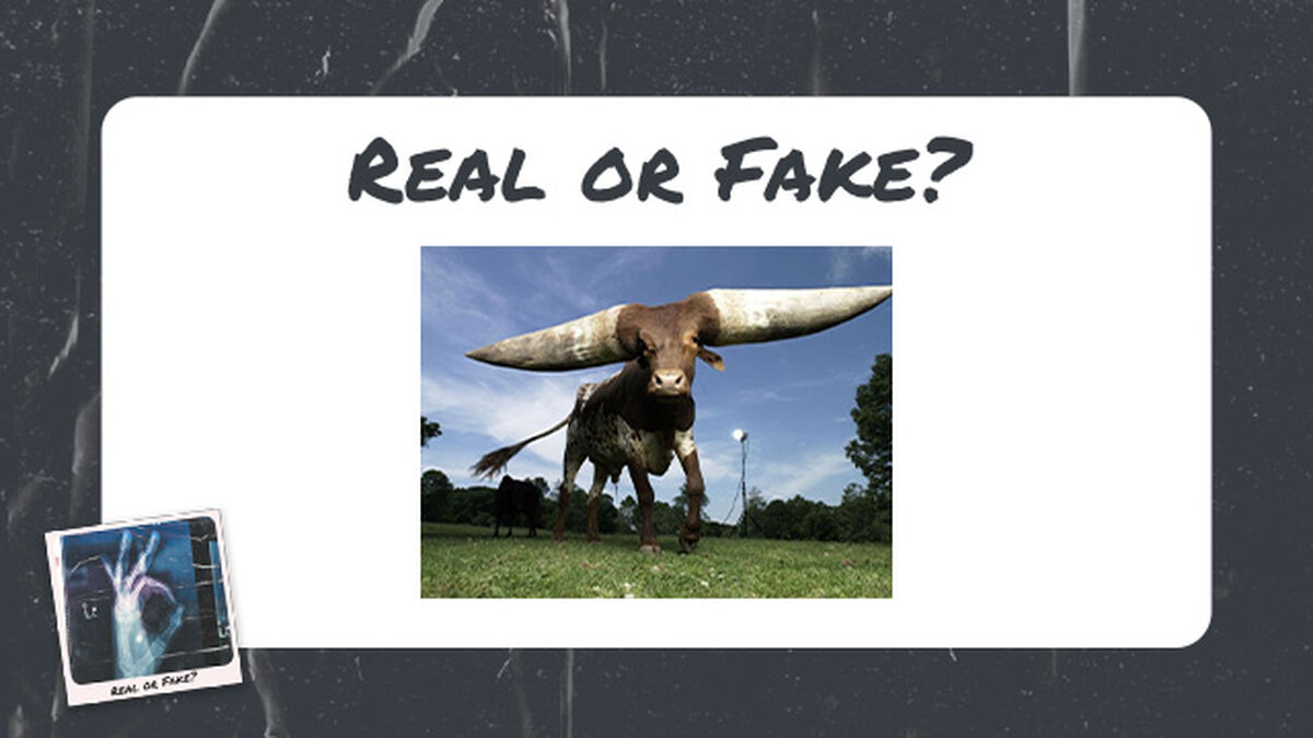 Real or Fake Volume 1 | Games | Download Youth Ministry
