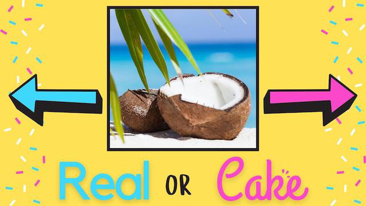 Real or Cake | Games | Download Youth Ministry