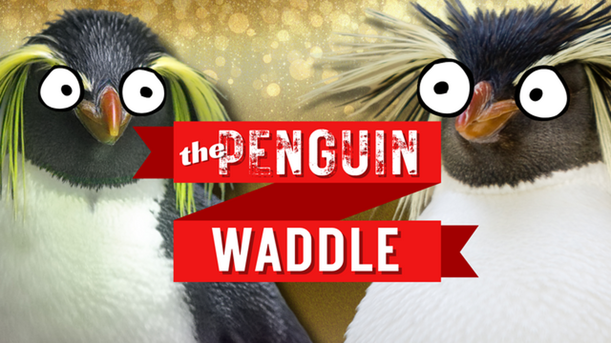 Classy vs Tacky Christmas Party | Christmas Events | Download Youth ...