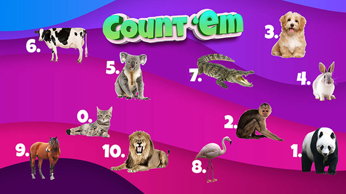 Count 'Em | Games | Download Youth Ministry