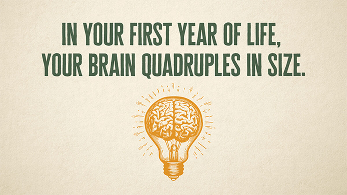 The Brain Game | Trivia | Download Youth Ministry