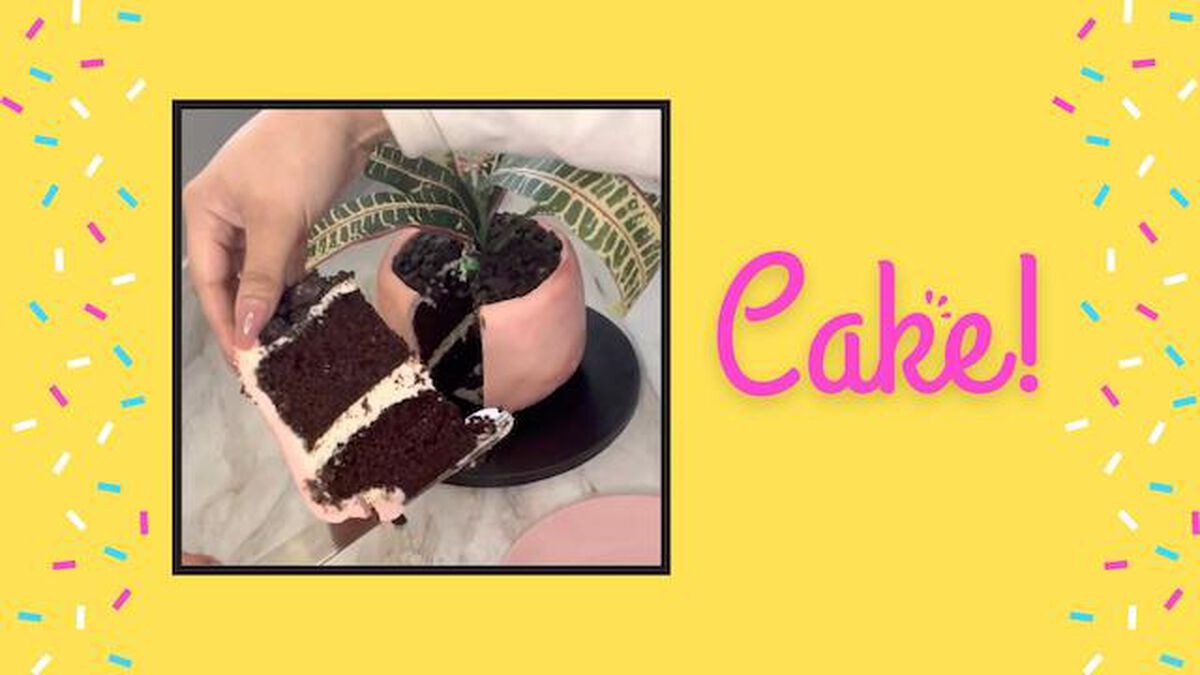 Real or Cake | Games | Download Youth Ministry