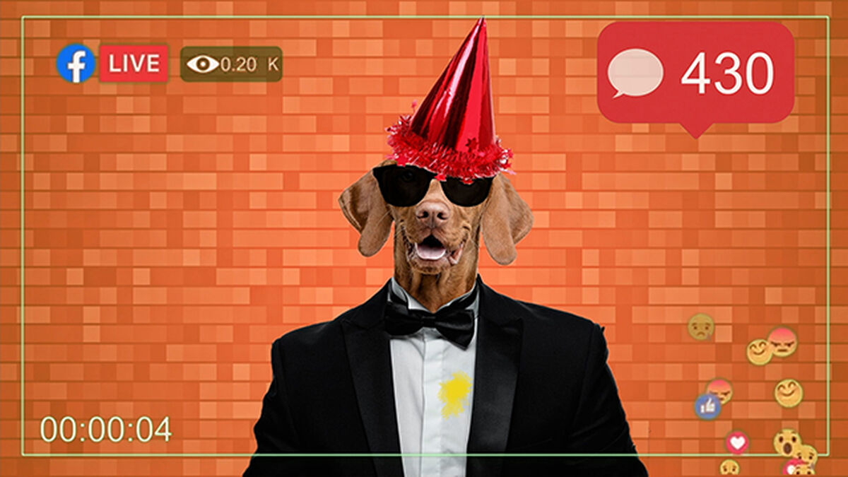 Cram Jam | Brain Games | Download Youth Ministry