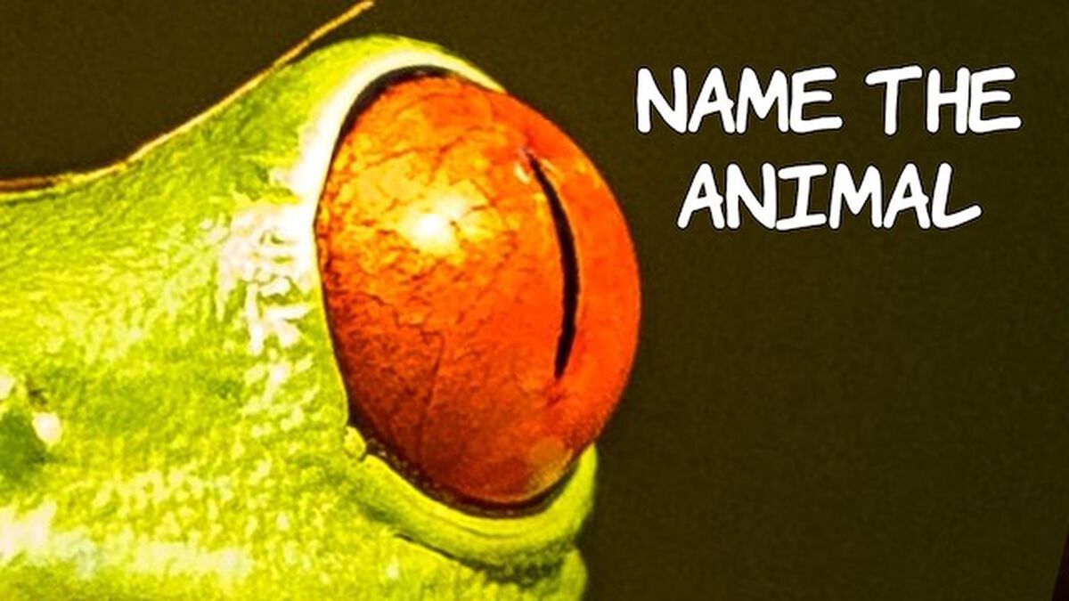 Eye Spy | Games | Download Youth Ministry