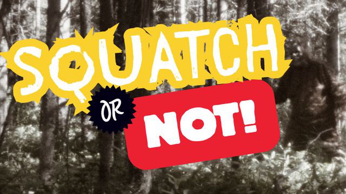 Squatch or Not | Halloween Games | Download Youth Ministry