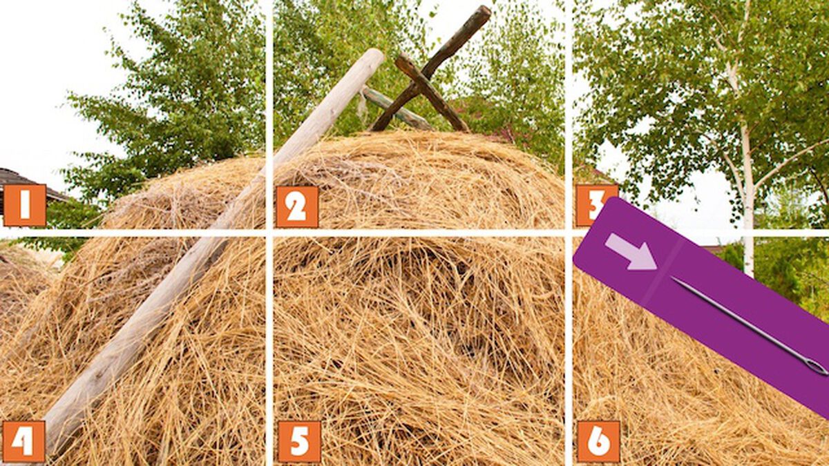 Needle in a Haystack 2 | No Prep | Download Youth Ministry