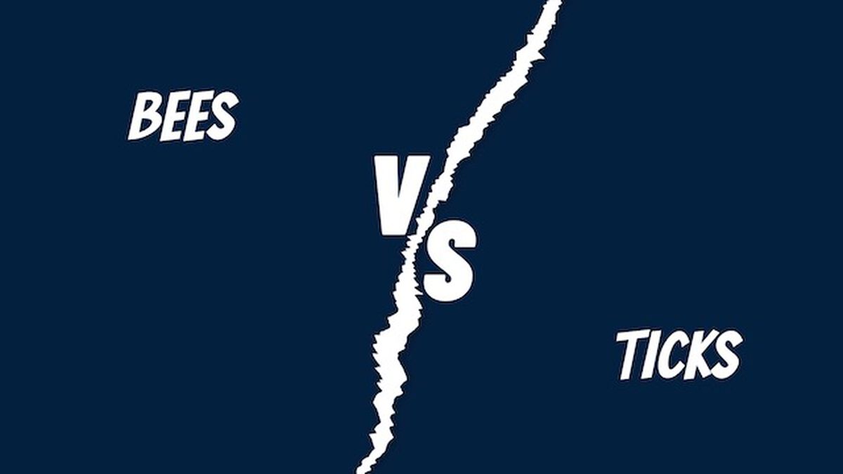 One Must Go: Worst Fears Edition | Games | Download Youth Ministry