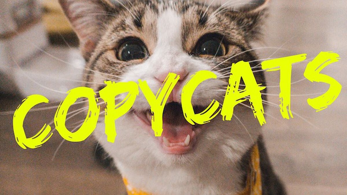 Copy Cats | Games | Download Youth Ministry