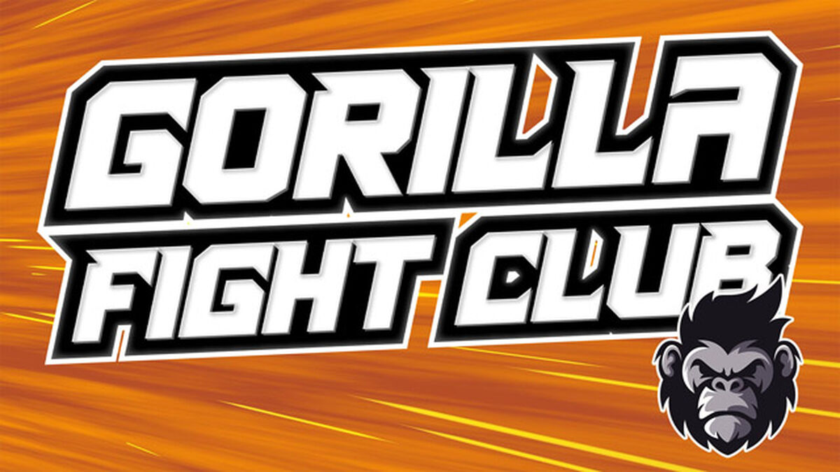 gorilla fights man