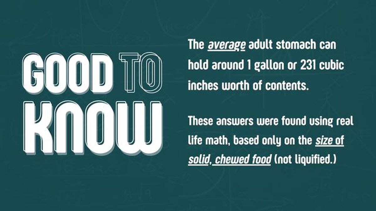 Gut Buster | Games | Download Youth Ministry