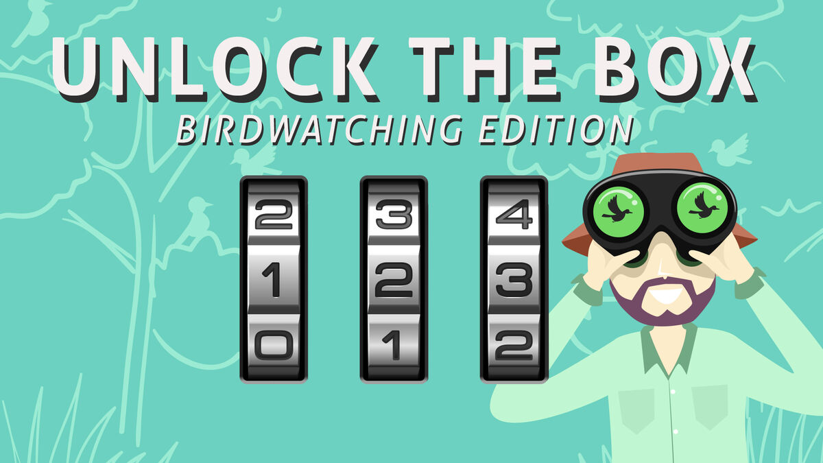 Unlock the Box Mini: Birdwatching | Games | Download Youth Ministry
